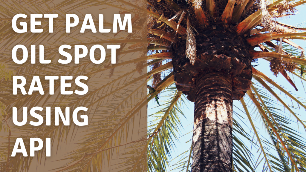 Get Palm Oil Spot Rates Using API