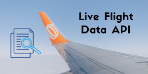 Use An API To Get Live Flight Data – TheStartupFounder.com