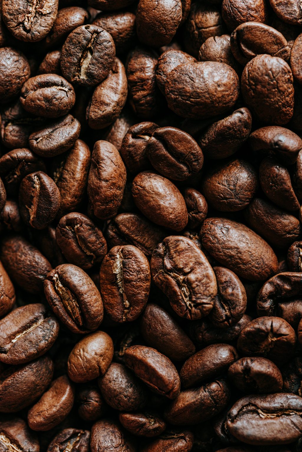 Use An API To Obtain Coffee Rates In Indian Rupees – TheStartupFounder.com
