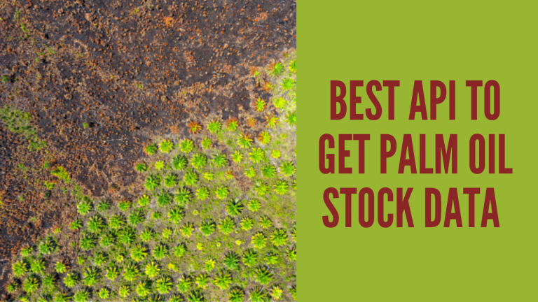 Best API To Get Palm Oil Stock Data In CAD – TheStartupFounder.com