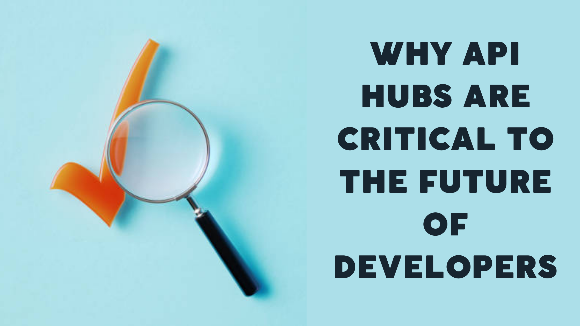 Why API Hubs Are Critical To The Future Of Developers