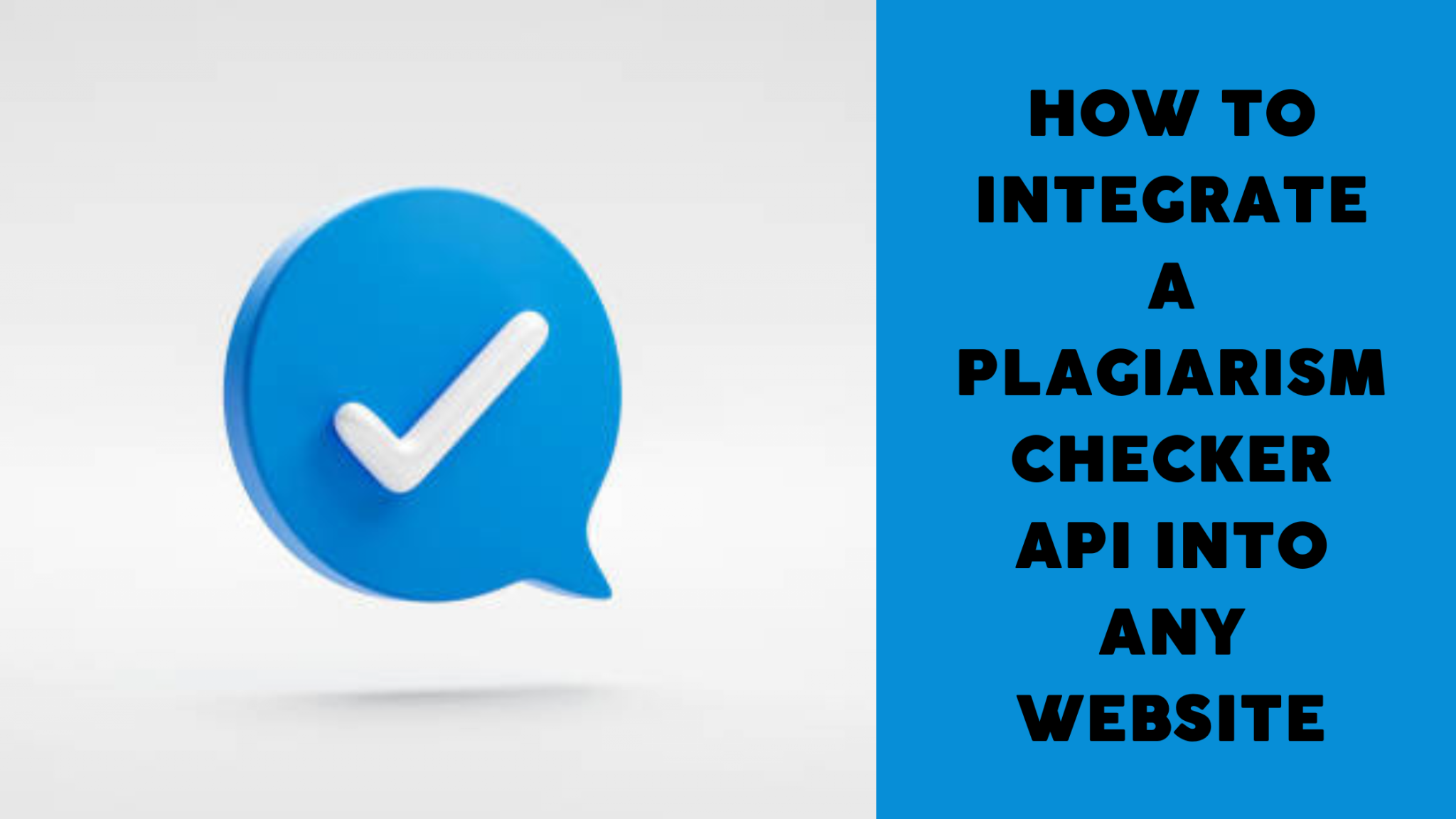 How To Integrate A Plagiarism Checker API Into Any Website ...