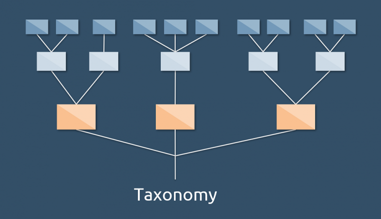 Best Text Segmentation API For B2B Companies – TheStartupFounder.com