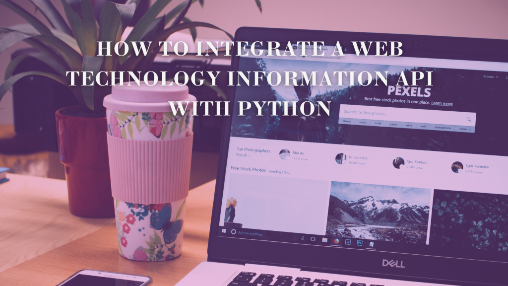 How To Integrate A Web Technology Information API With Python ...