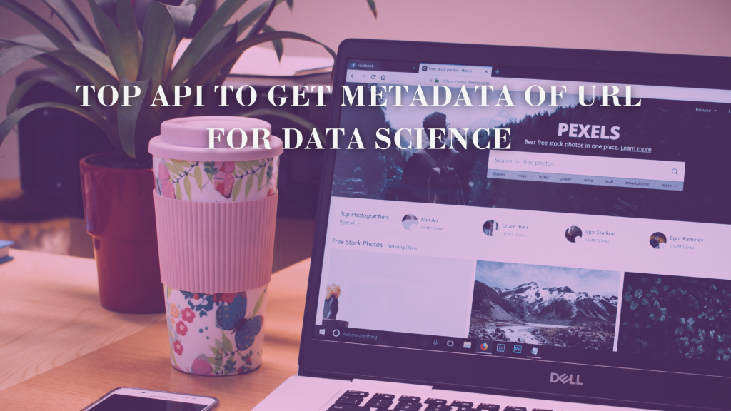 Top API To Get Metadata Of URL For Data Science – TheStartupFounder.com