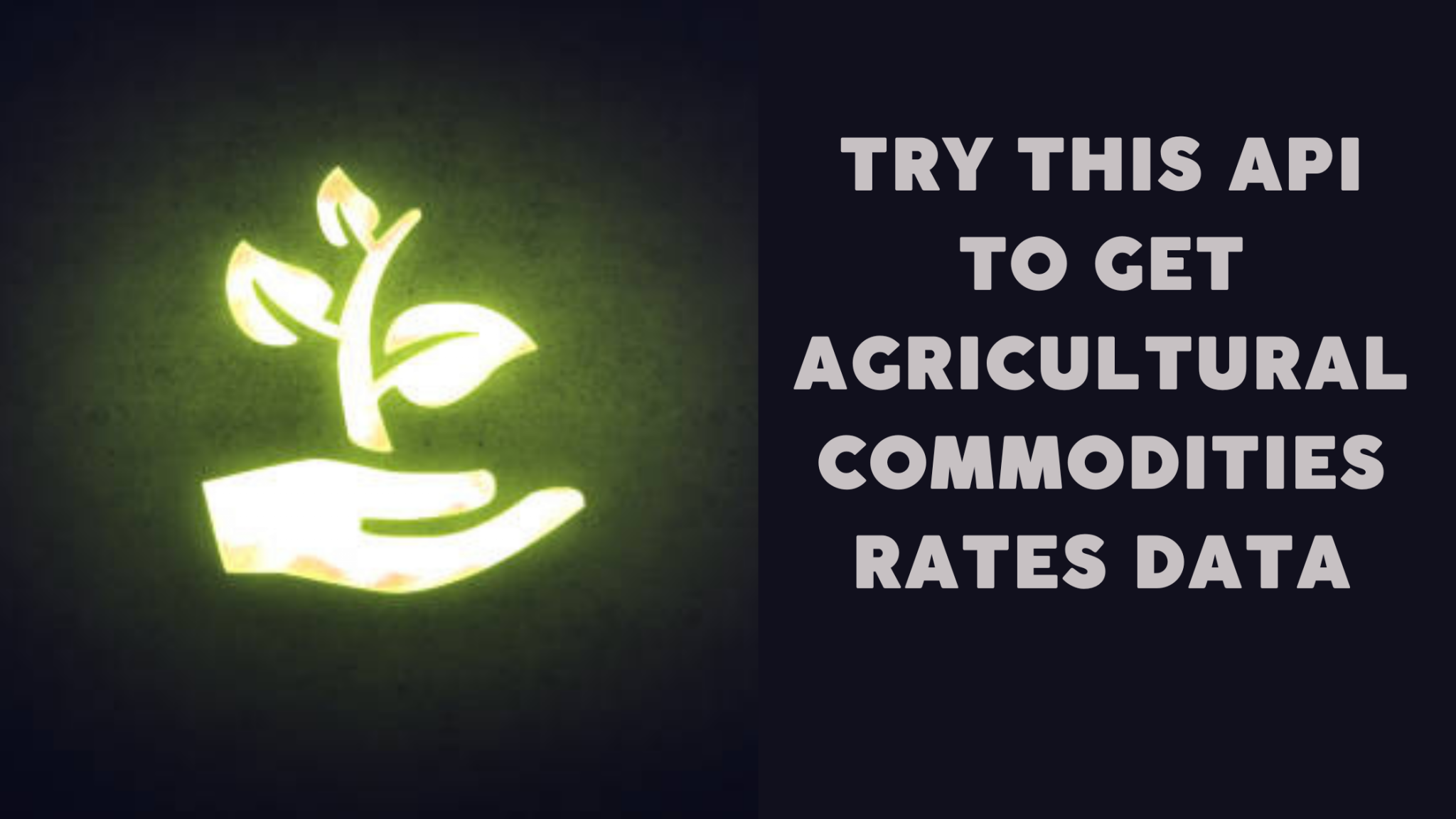 Try This REST API To Get Agricultural Rates Data With Accuracy ...