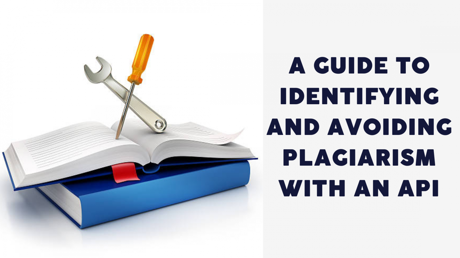 A Guide To Identifying And Avoiding Plagiarism With An API – TheStartupFounder.com