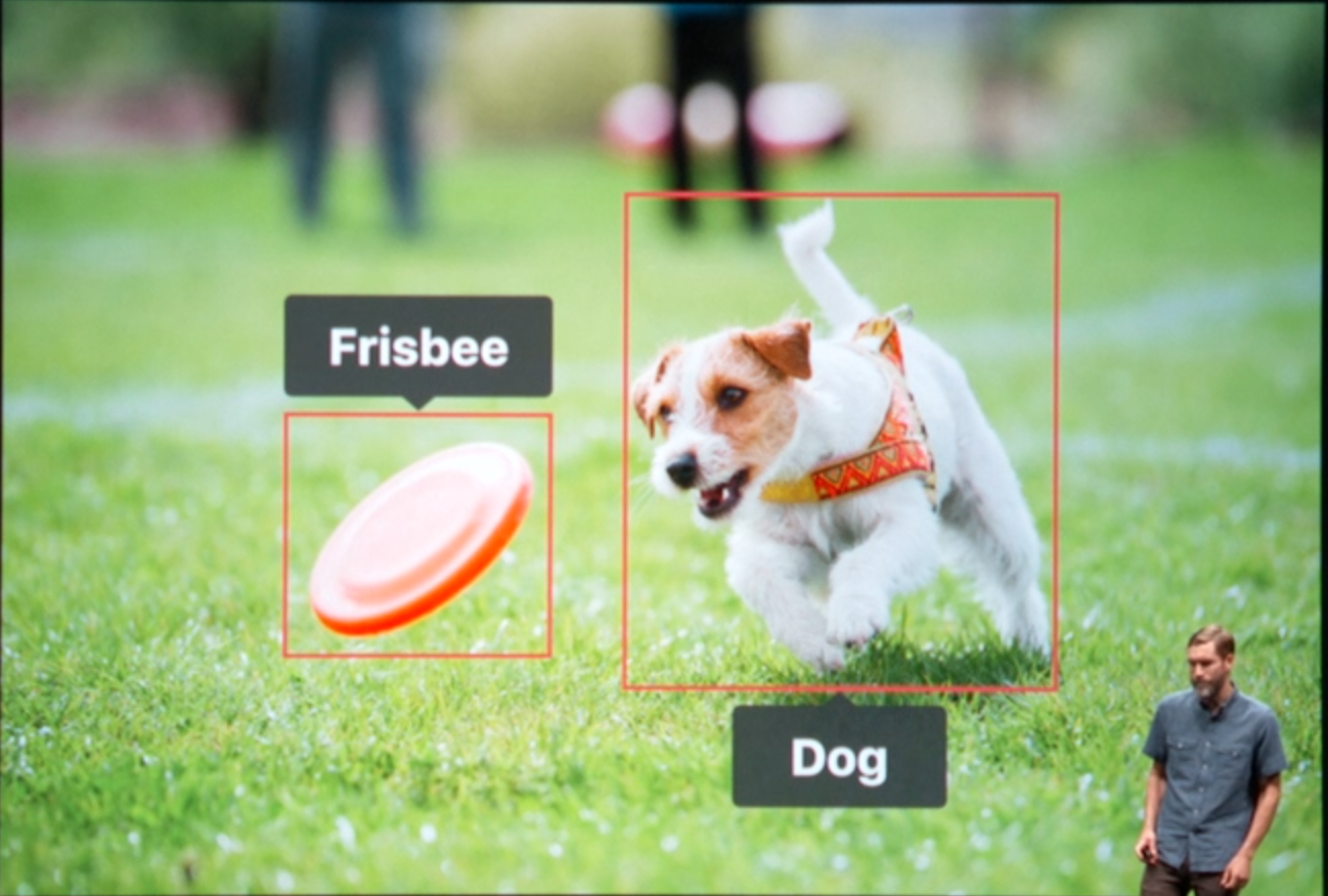 Use The Visual Recognition Api To Identify Objects