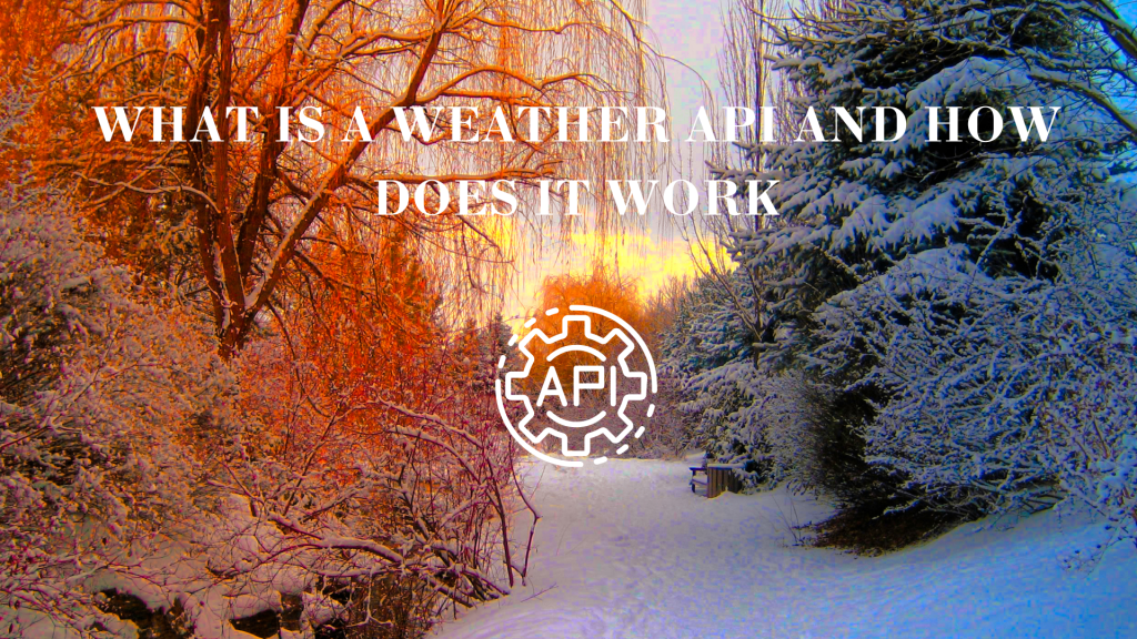 What Is A Weather API And How Does It Work – TheStartupFounder.com