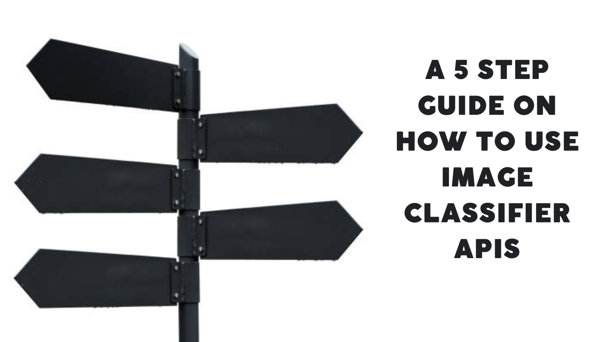 A 5 Step Guide On How To Use Image Classifier APIs – TheStartupFounder.com