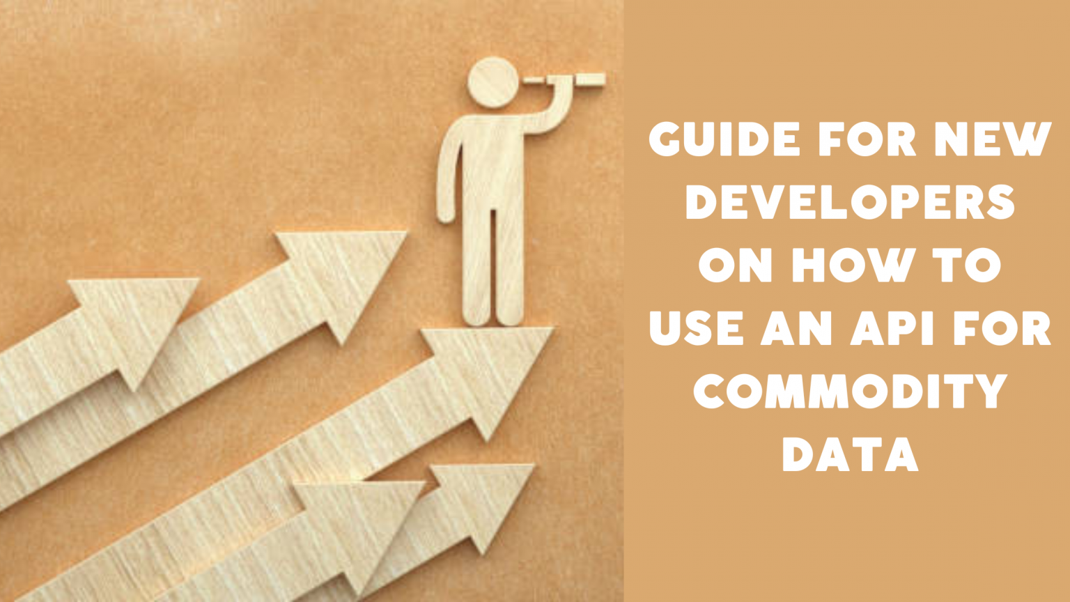 Guide For New Developers On How To Use An API For Commodity Data ...