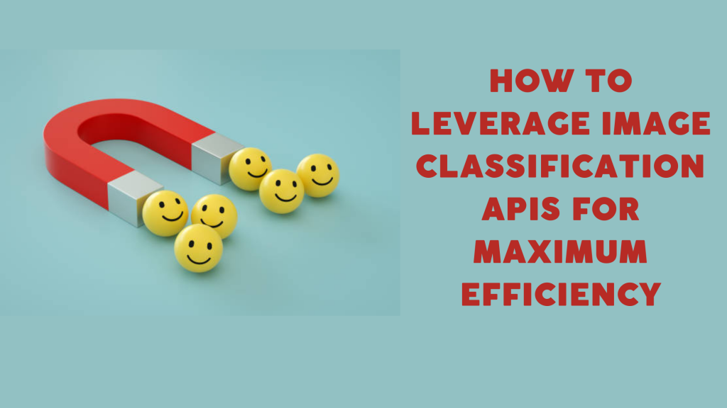 How To Leverage Image Classification APIs For Maximum Efficiency – TheStartupFounder.com