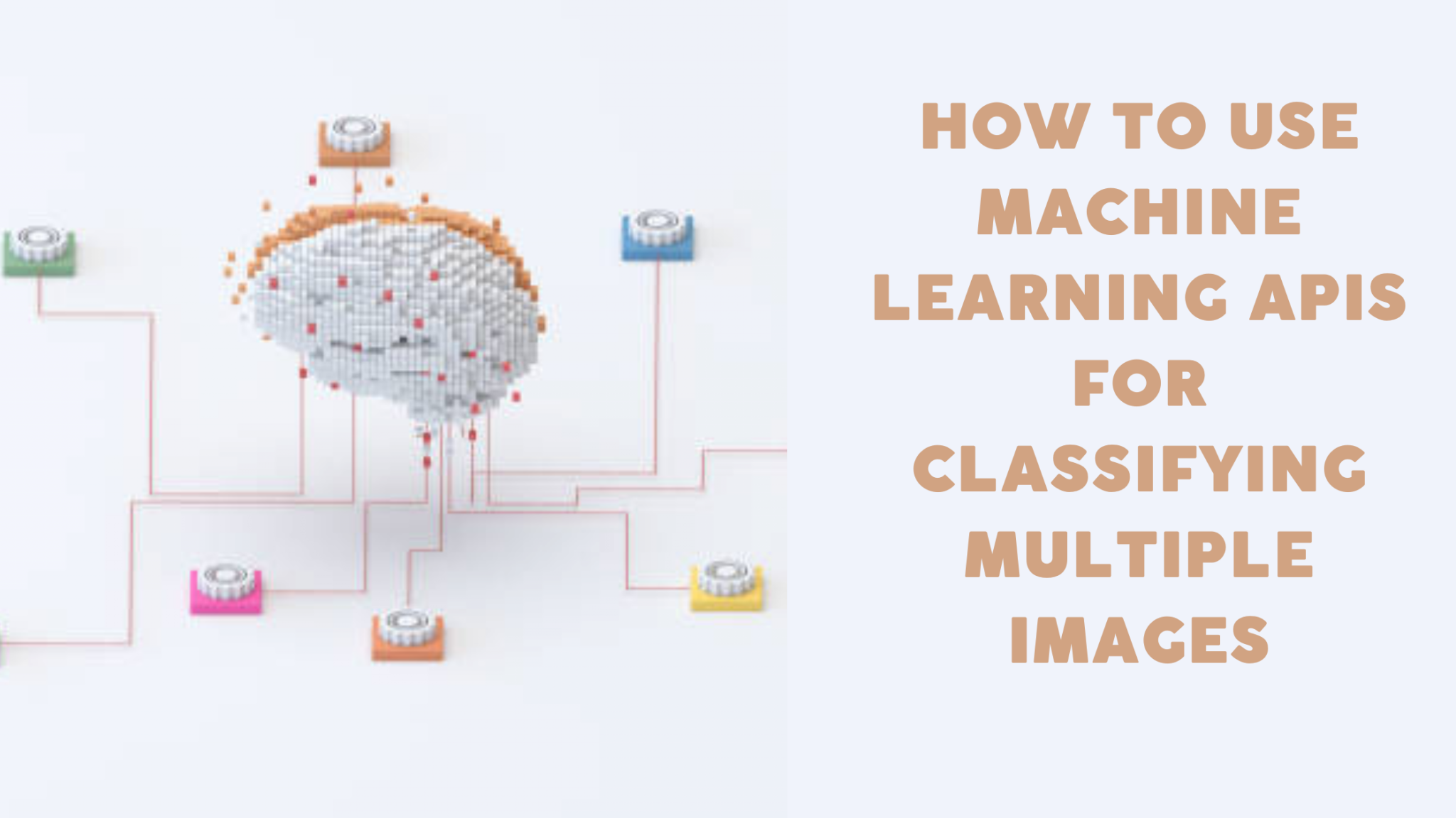 How To Use Machine Learning APIs For Classifying Multiple Images – TheStartupFounder.com