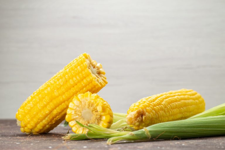 A Beginner’s Guide To Corn Futures Trading With A Commodities API ...