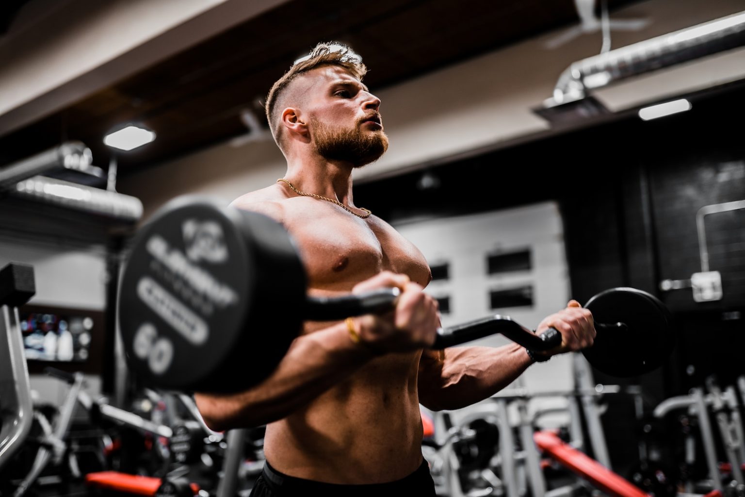 Top Rated GYM API With Enterprise Plans – TheStartupFounder.com